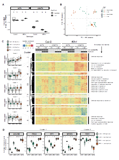 功能组学_代谢组学_空间代谢组学_离子组学_蛋白质组学_多组学-阿趣生物官网